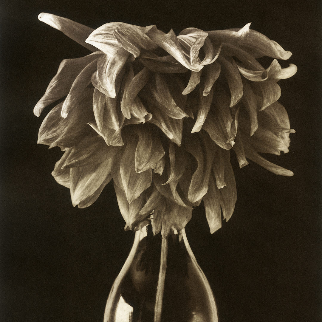 Ian Phillips McLaren