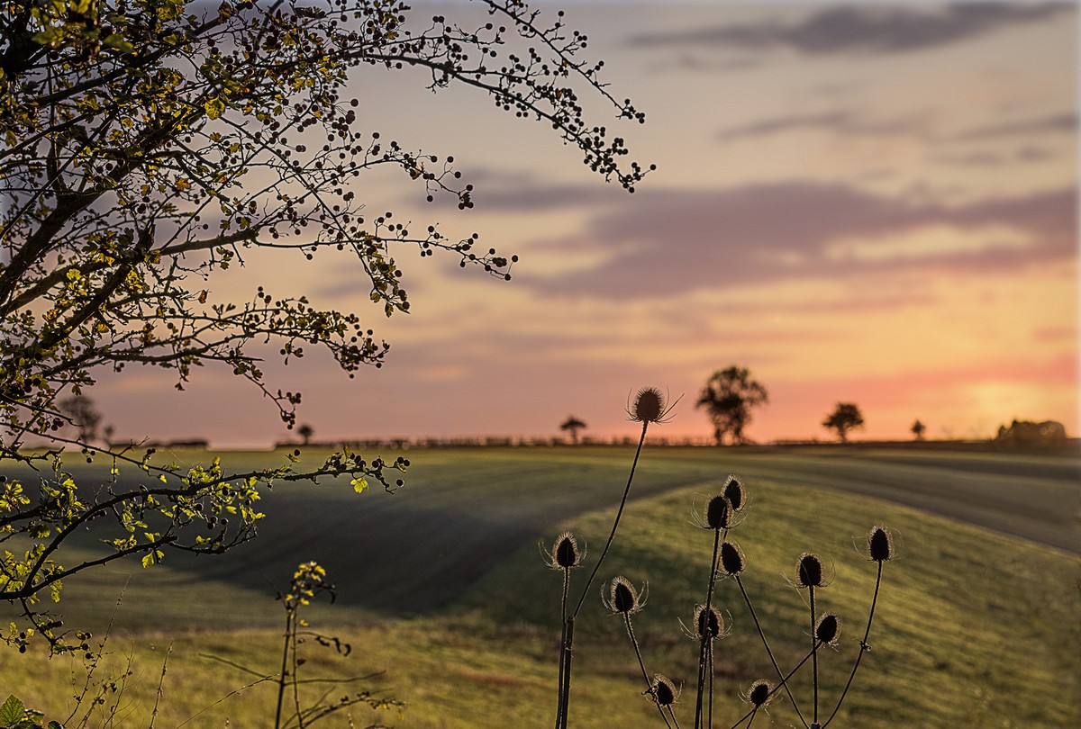 Andrew McCarthy LRPS