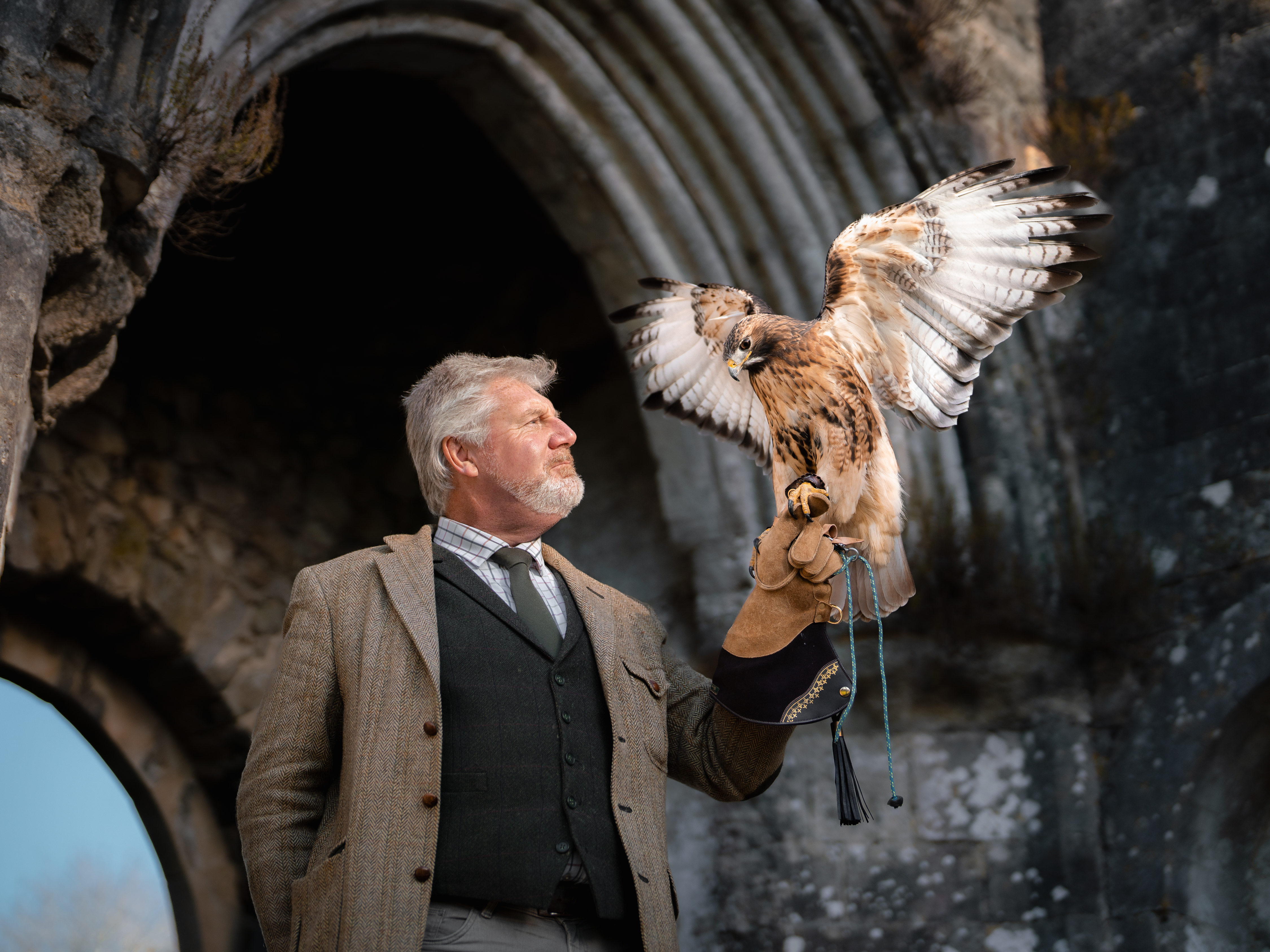 Steve Poole: A gallery of life in the New Forest
