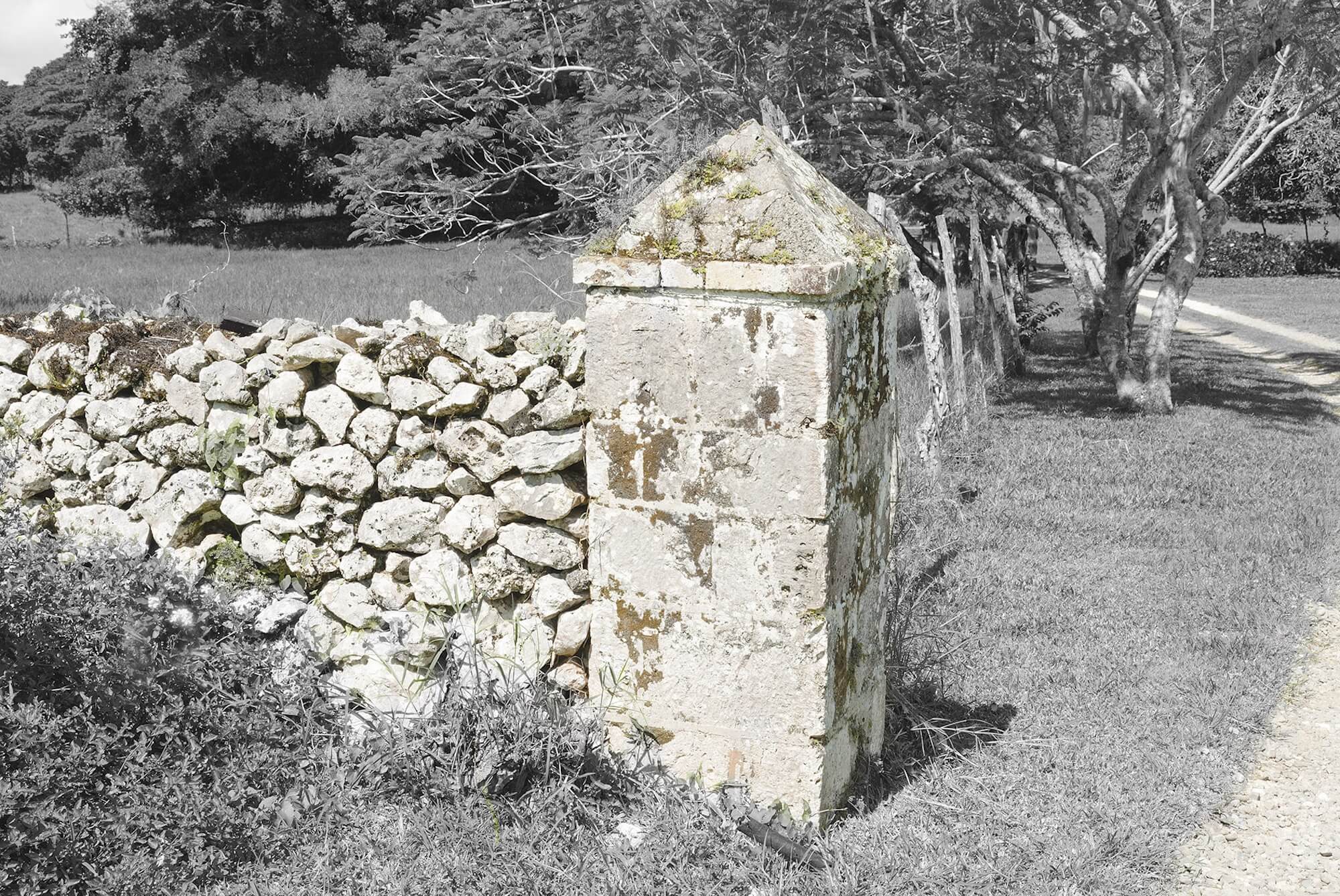 Ingrid Pollard: “Does photography still exist?”