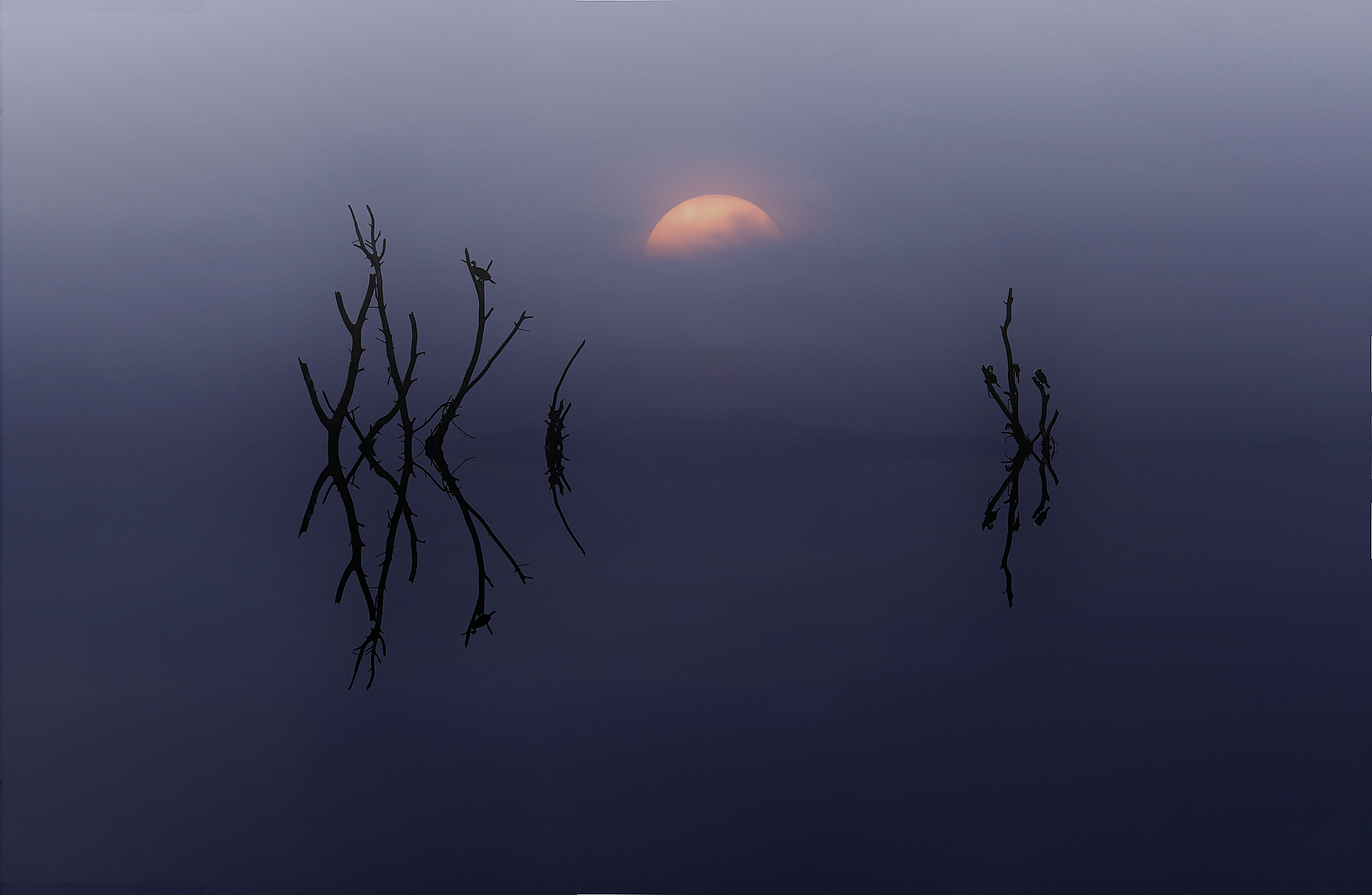 RPS Landscape Group Monthly Competition