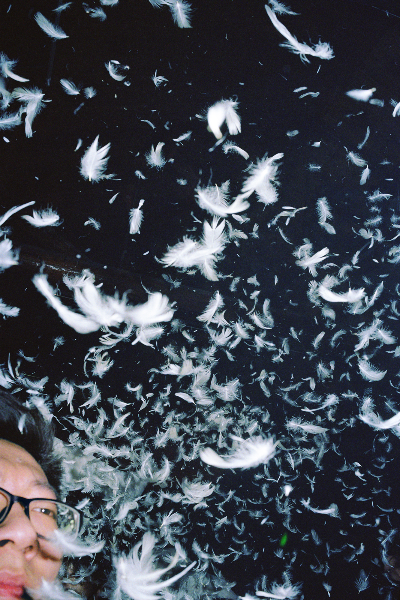 RPS International Photography Exhibition 167