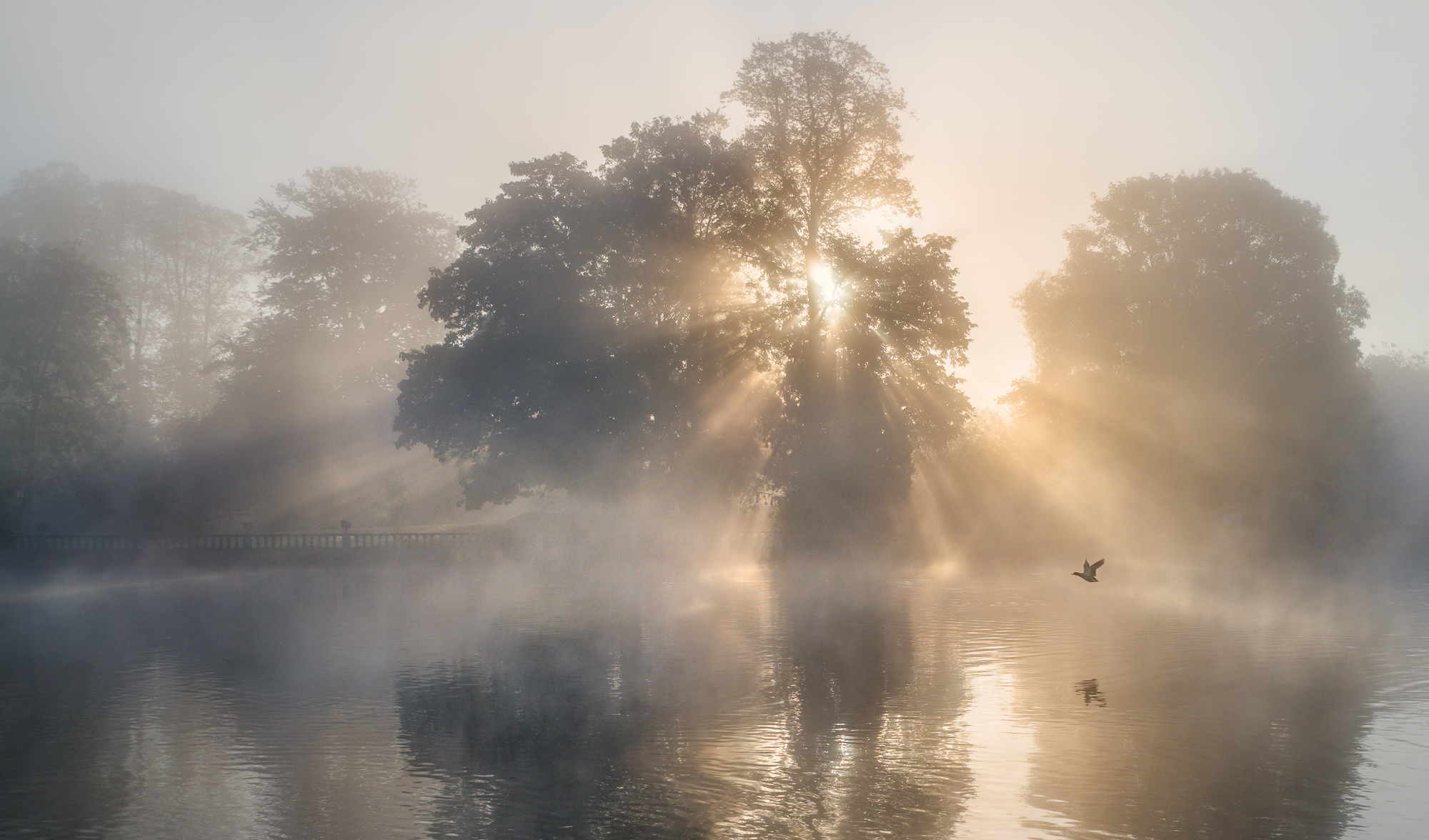 Jan Harris ARPS - Landscape Distinction
