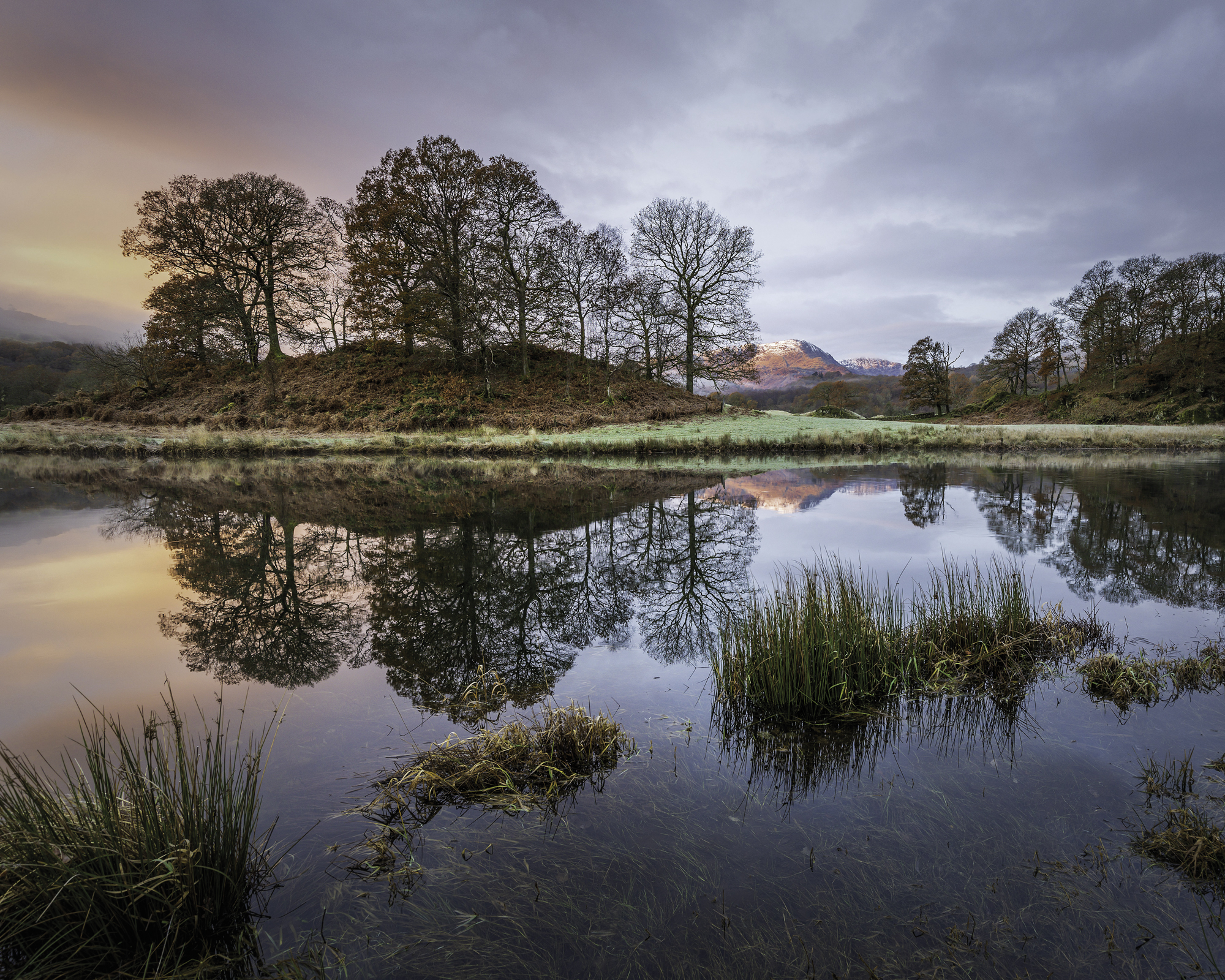 RPS Landscape Distinction