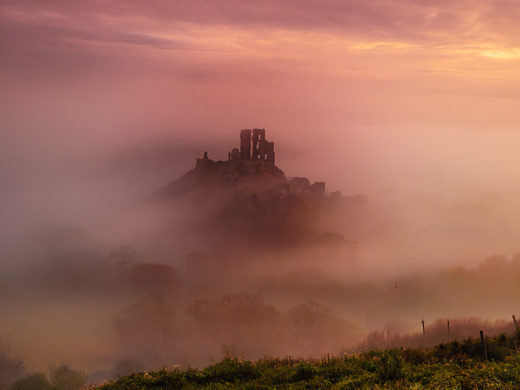 Landscape Competitions