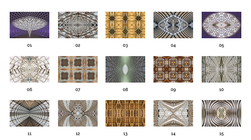 Dave Balcombe ARPS Panel