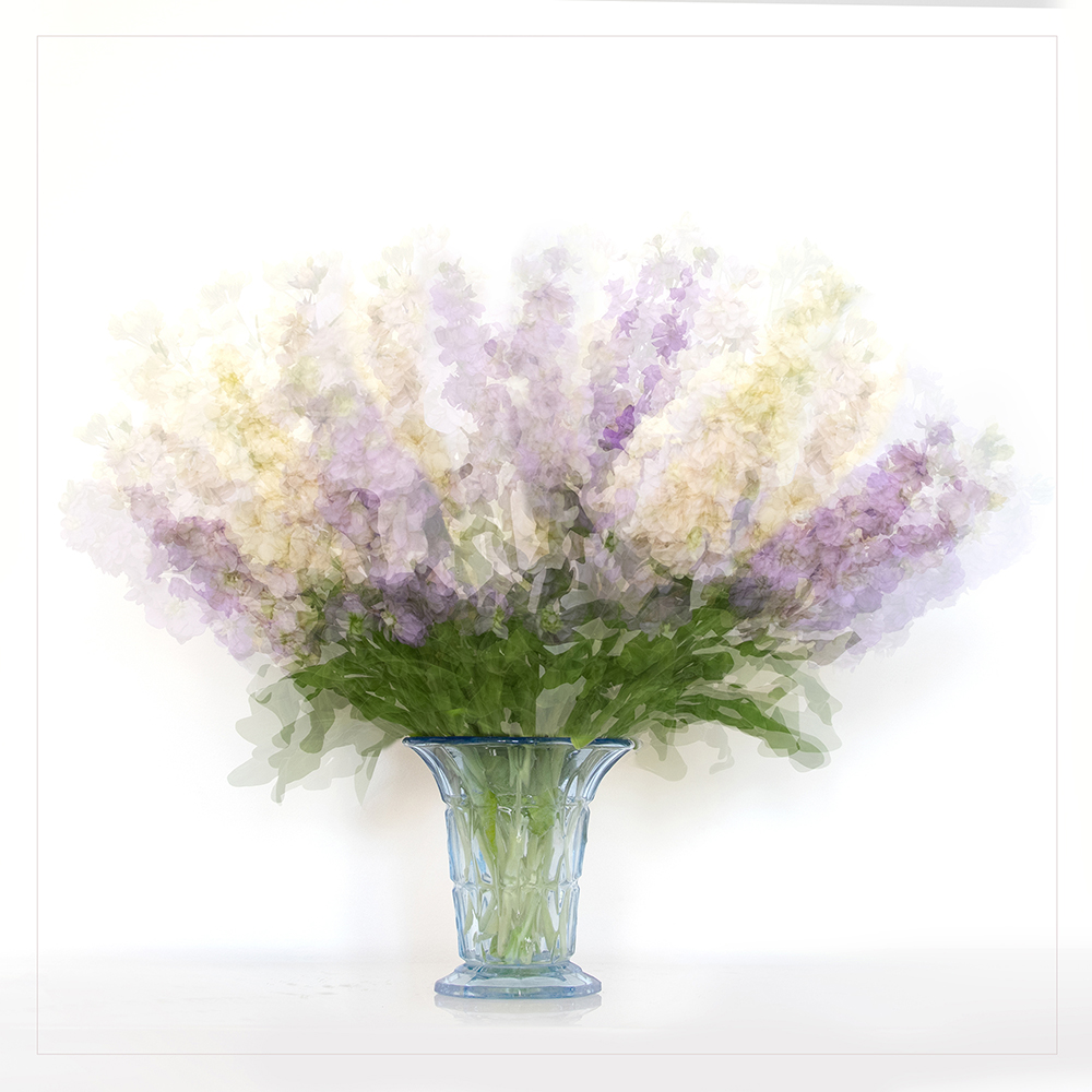 RPS Digital Imaging | DI ONLINE