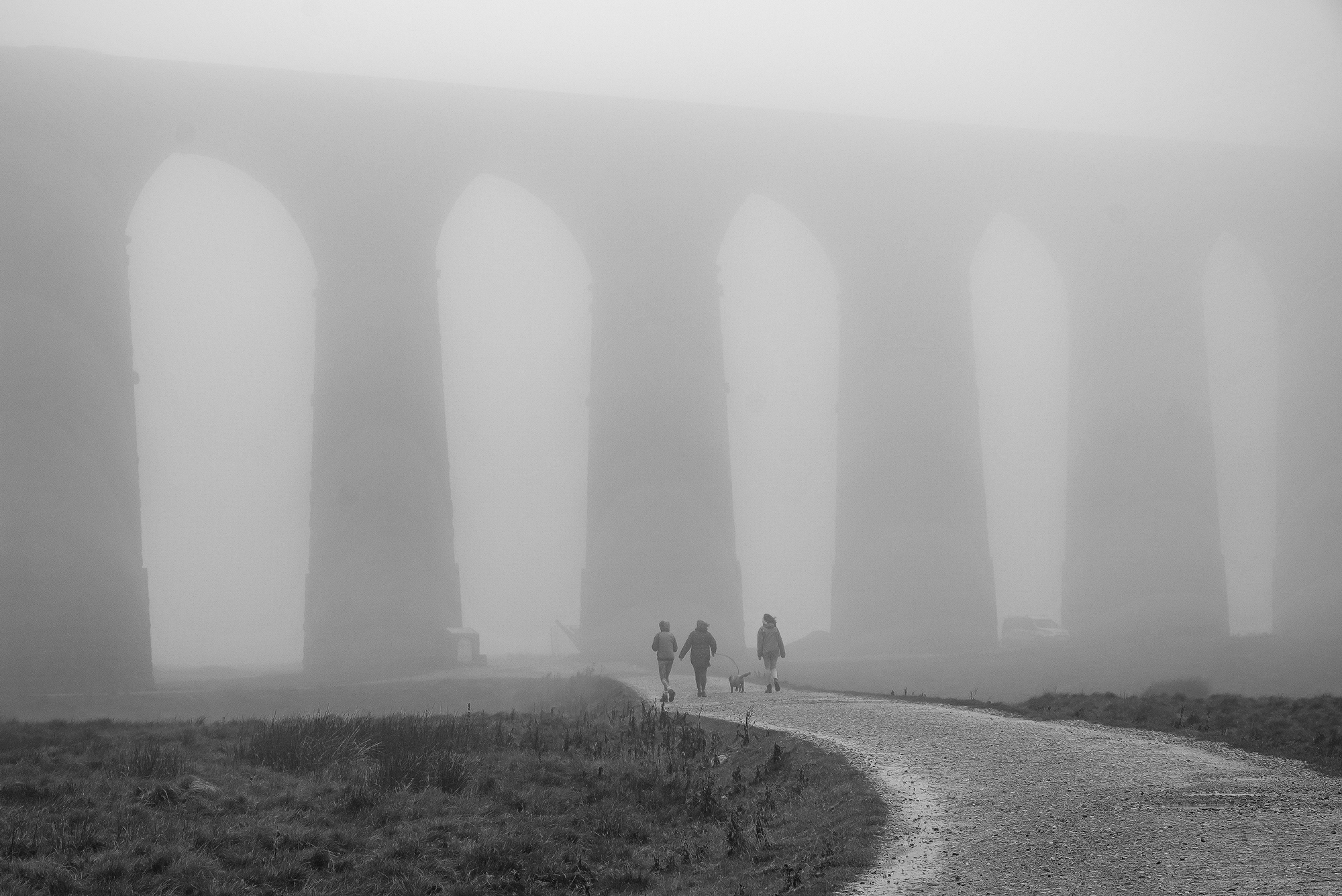 RPS Landscape Group Monthly Competition