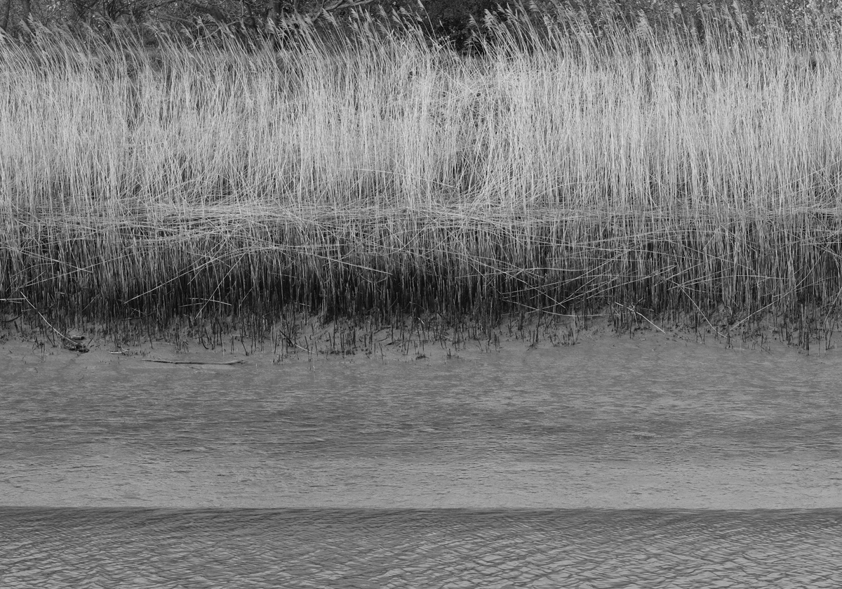 Eamonn McCabe Bursary