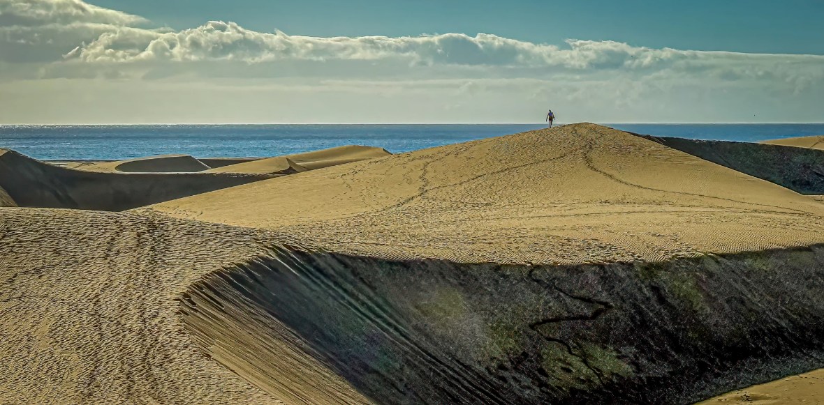 RPS Digital Imaging | Home