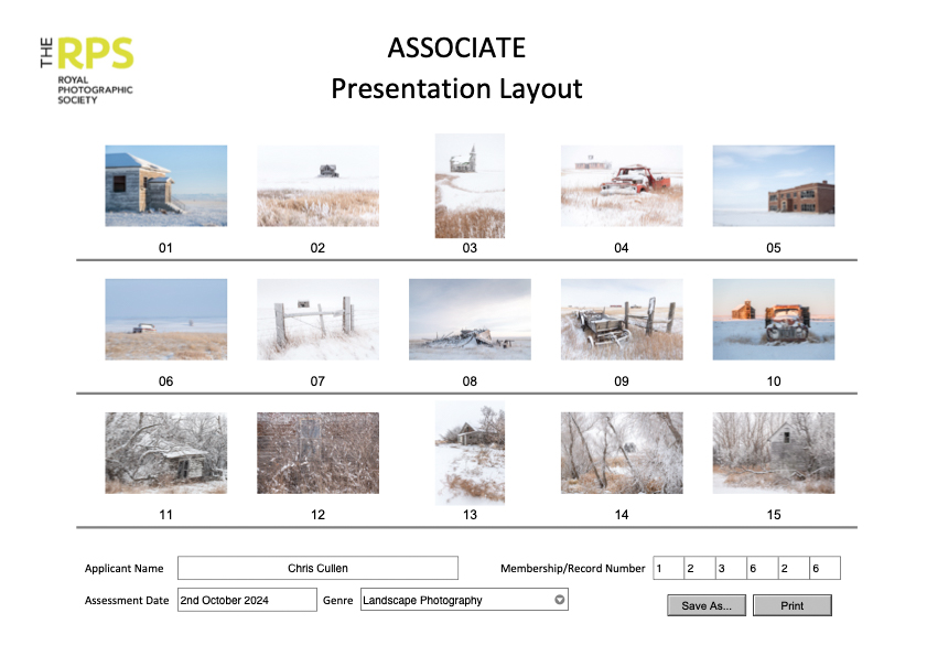 Chris Cullen ARPS Panel