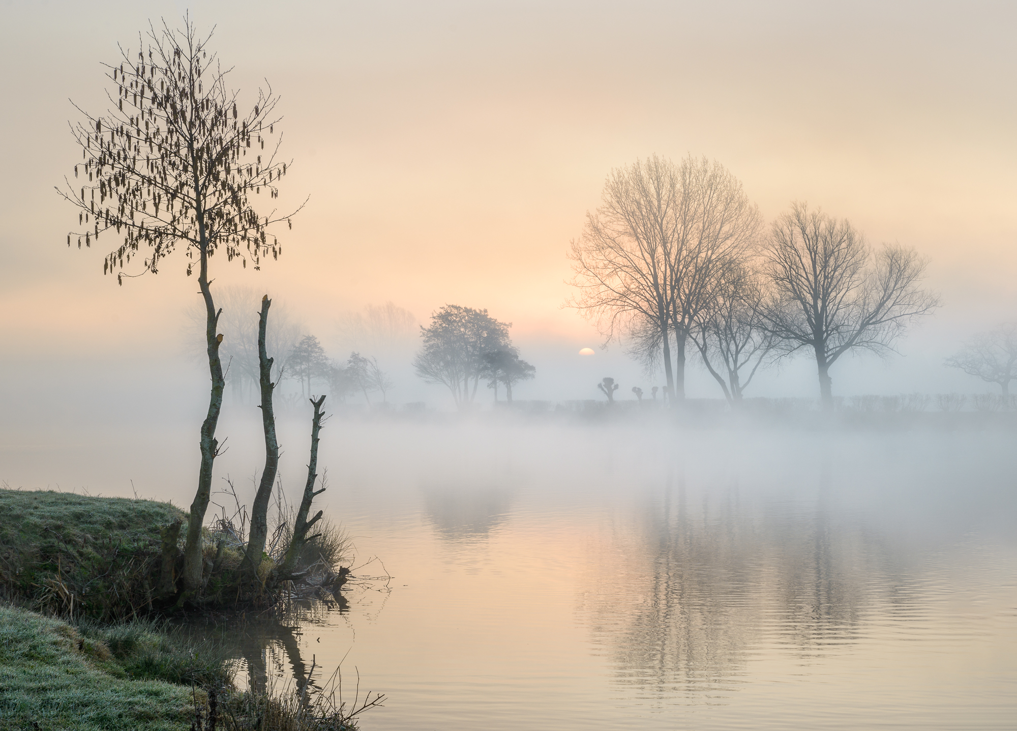 Jan Harris ARPS - Landscape Distinction