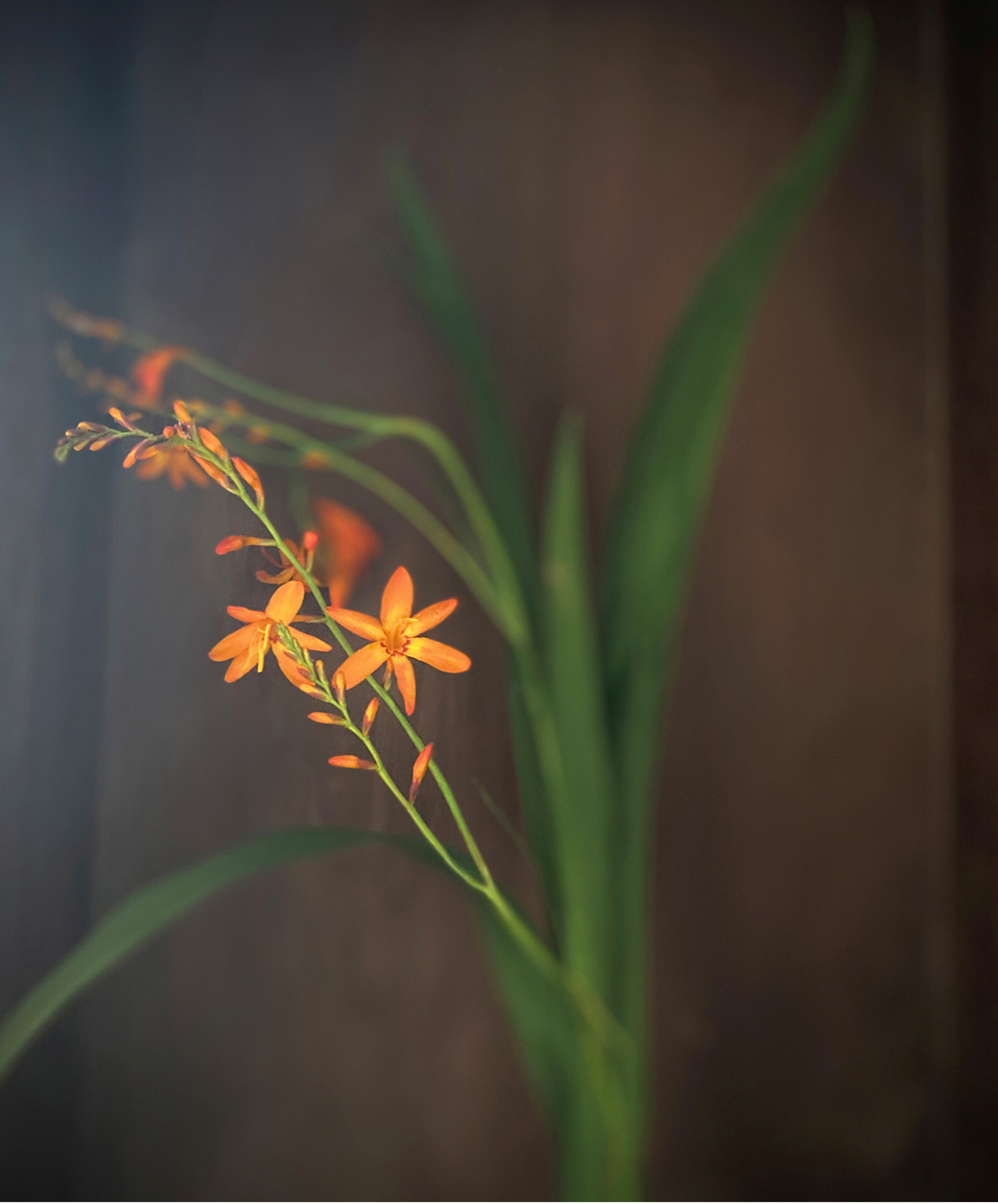 David Eustace on life after death