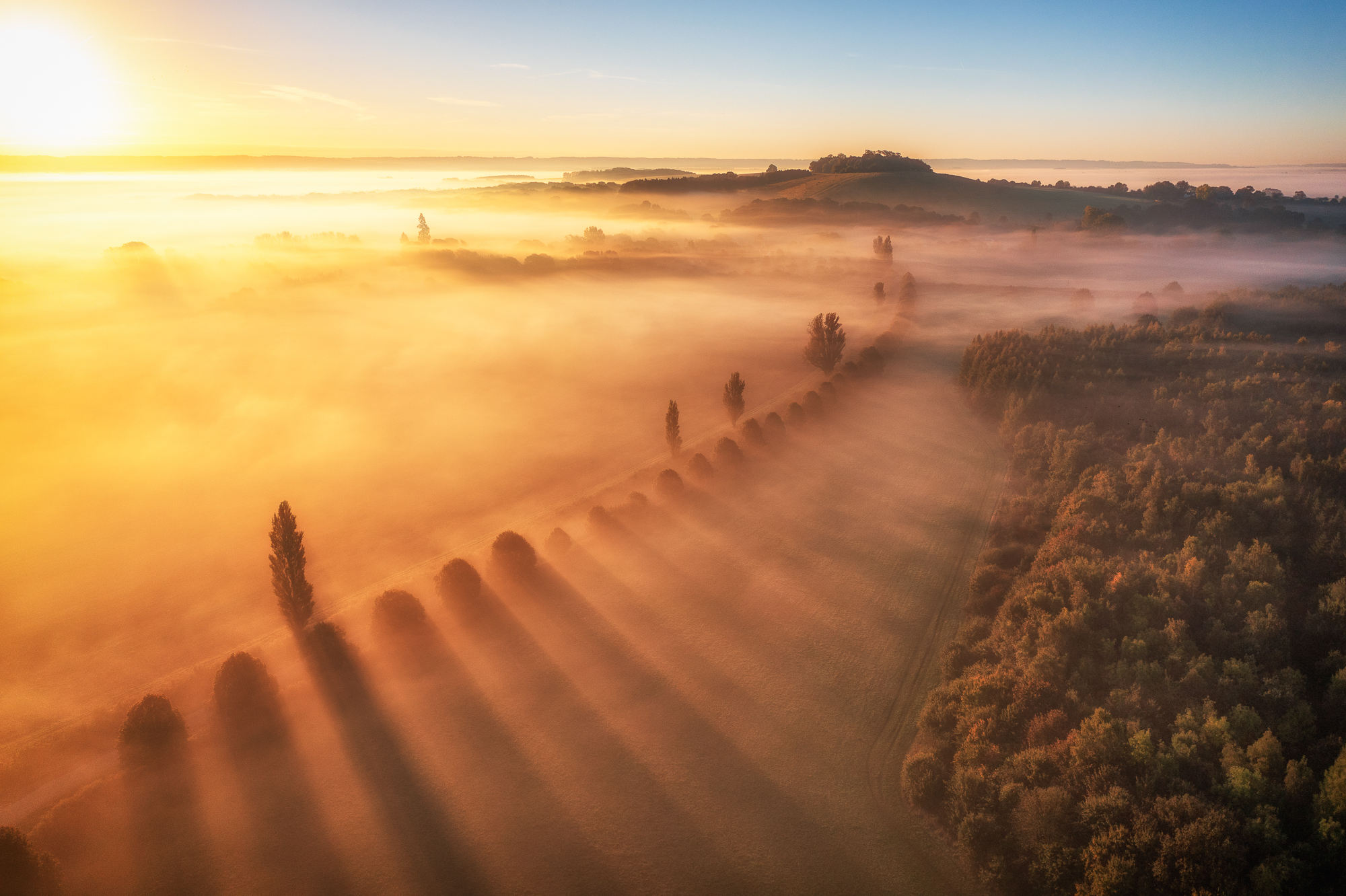Landscape Group Members’ Outdoor Exhibition