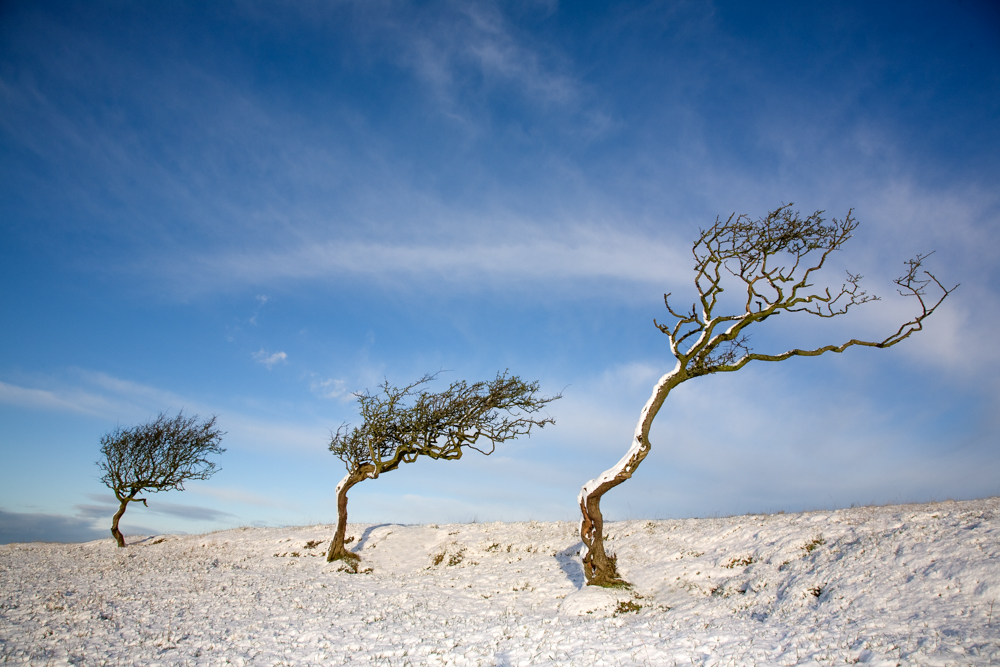 Scotland Monthly Competition